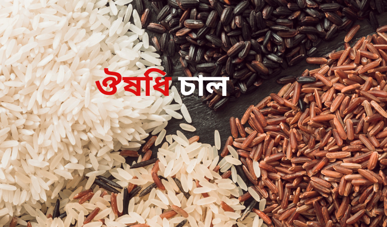 Lal Chal – নিরাপদ খাবার খান, পরিবারকে সুস্থ রাখেন