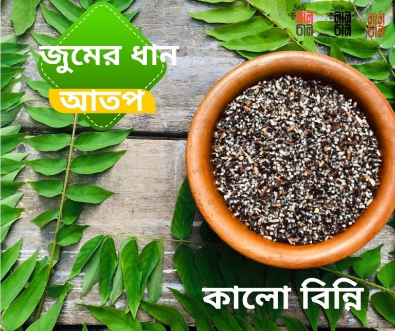 Lal Chal – নিরাপদ খাবার খান, পরিবারকে সুস্থ রাখেন