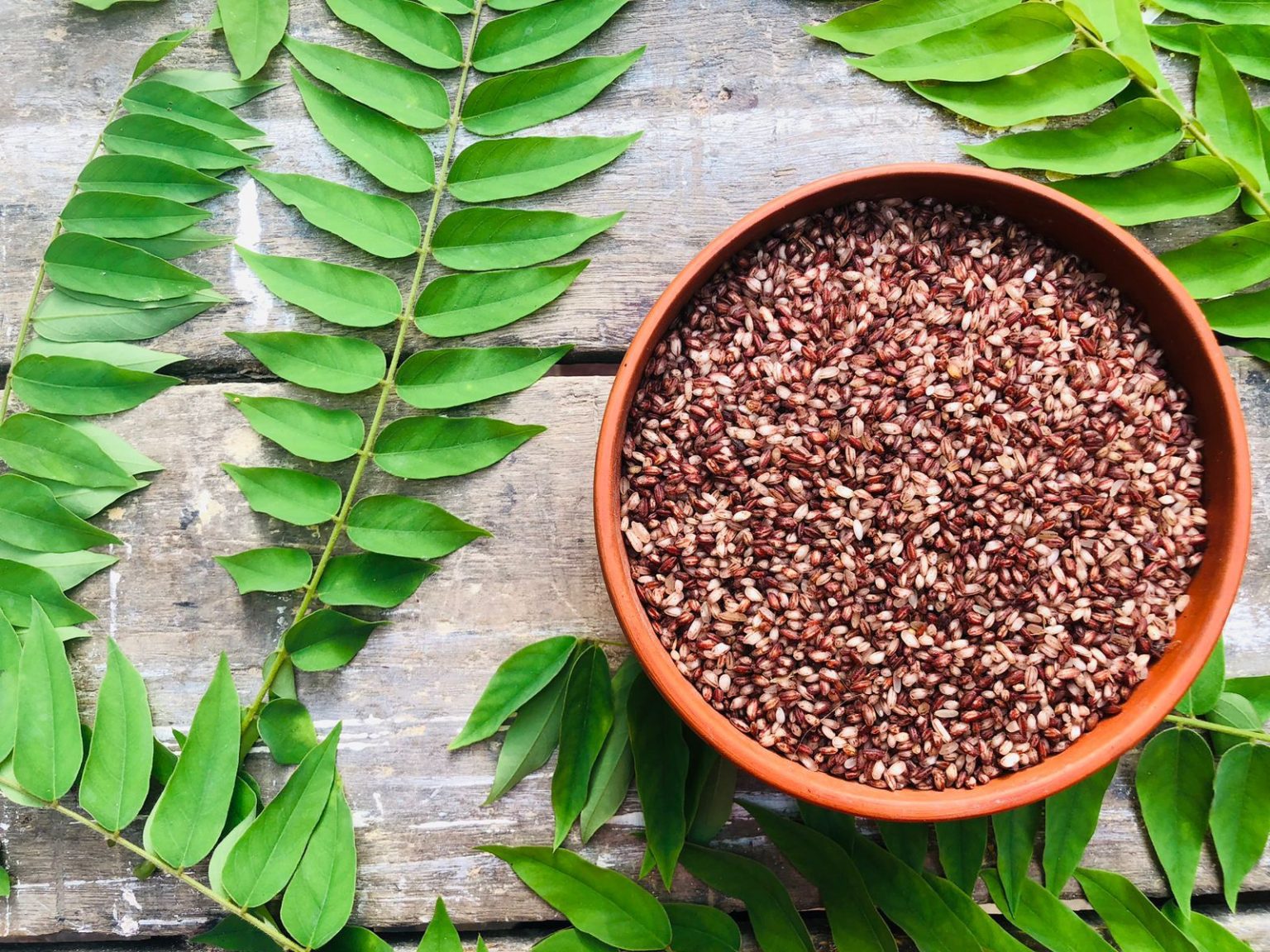 Lal Chal – নিরাপদ খাবার খান, পরিবারকে সুস্থ রাখেন